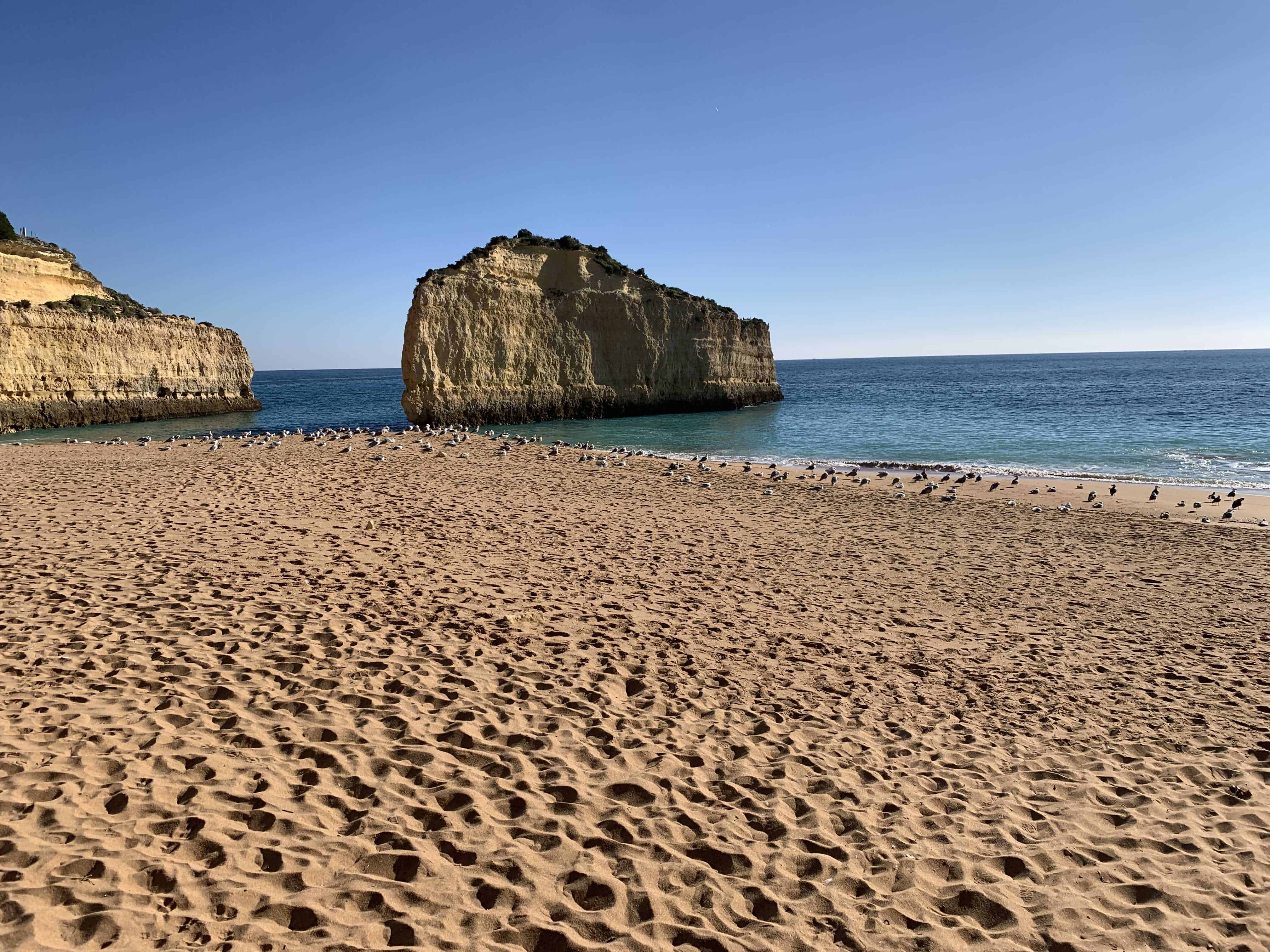 Reader's contribution: Coastal hike Faro in January 2019 | WandernDeluxe